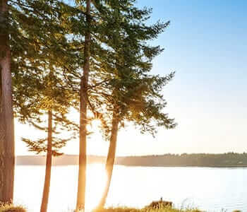 Pensacola Realtors | Pensacola, FL Homes for Sale - Levin Rinke Realty