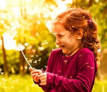 Pensacola Realtors | Pensacola, FL Homes for Sale - Levin Rinke Realty